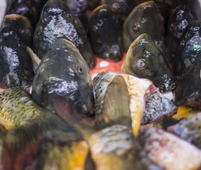 Karácsonyi halkínálat: ponty ezer forint alatt, harcsafilé 2500-tól ...