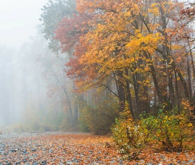 Szabadtéri programot tervez? - Mutatjuk, milyen időjárásra számítson ...