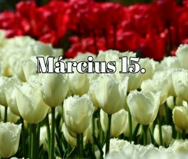 Március 15., nemzeti ünnep – Hosszú hétvége jön, a diákoknak tanítási ...